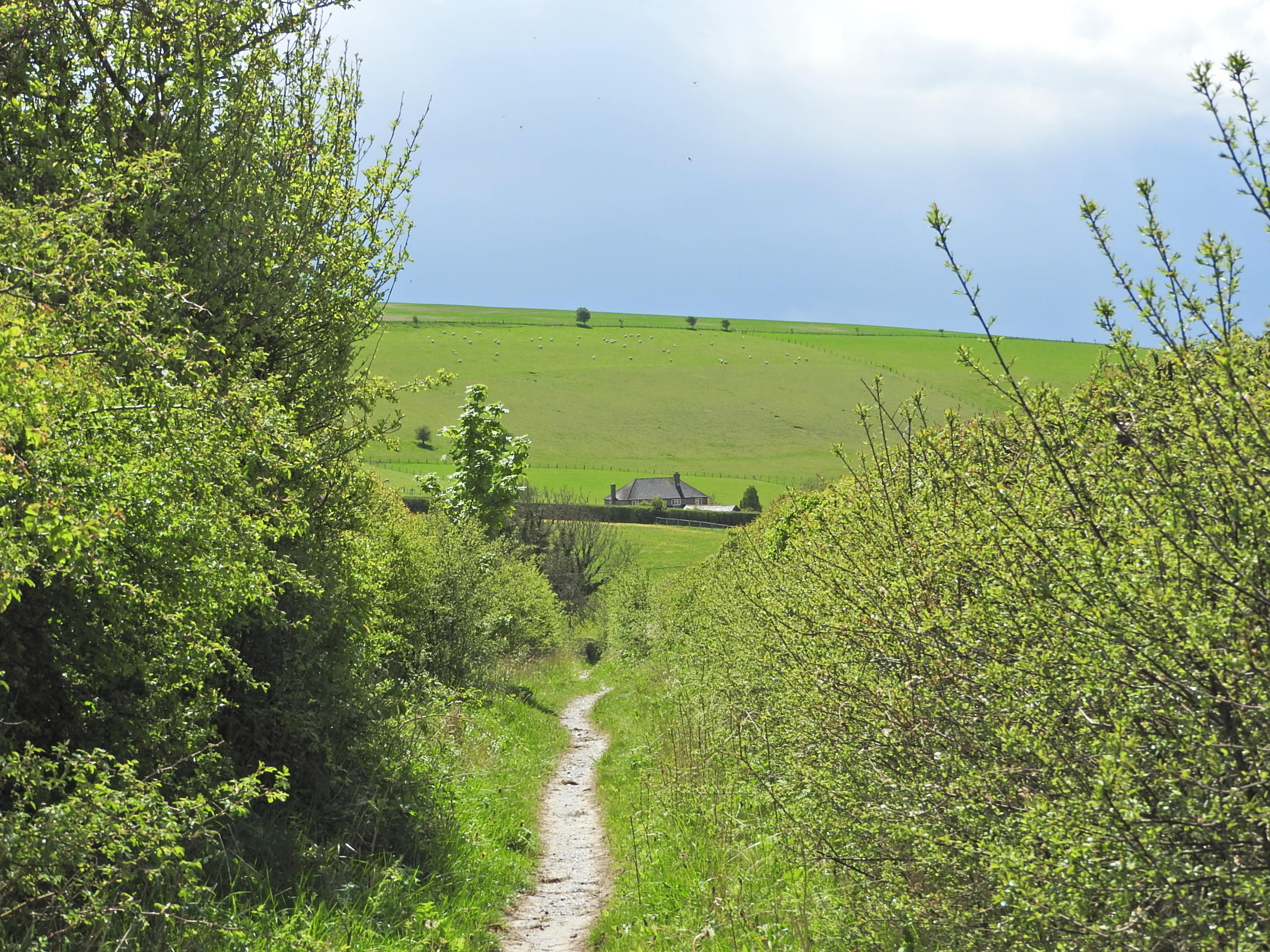 East Garston - North Wessex Downs AONB