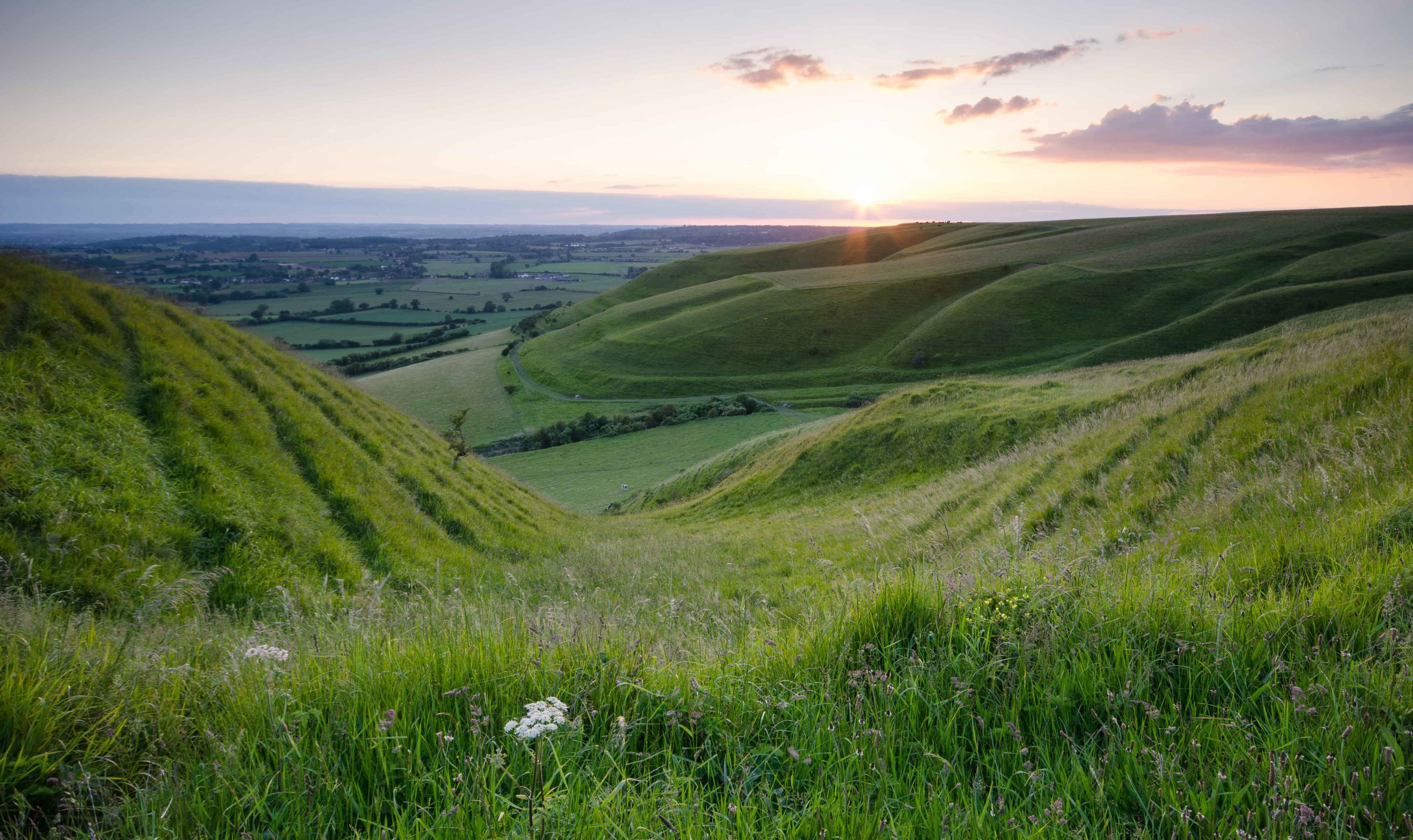 Roundway Hill - North Wessex Downs AONB
