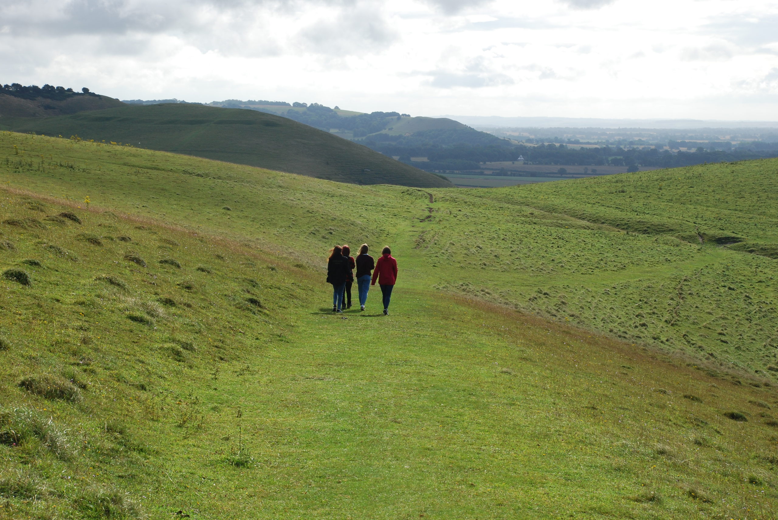 Pewsey Downs National Nature Reserve - North Wessex Downs AONB