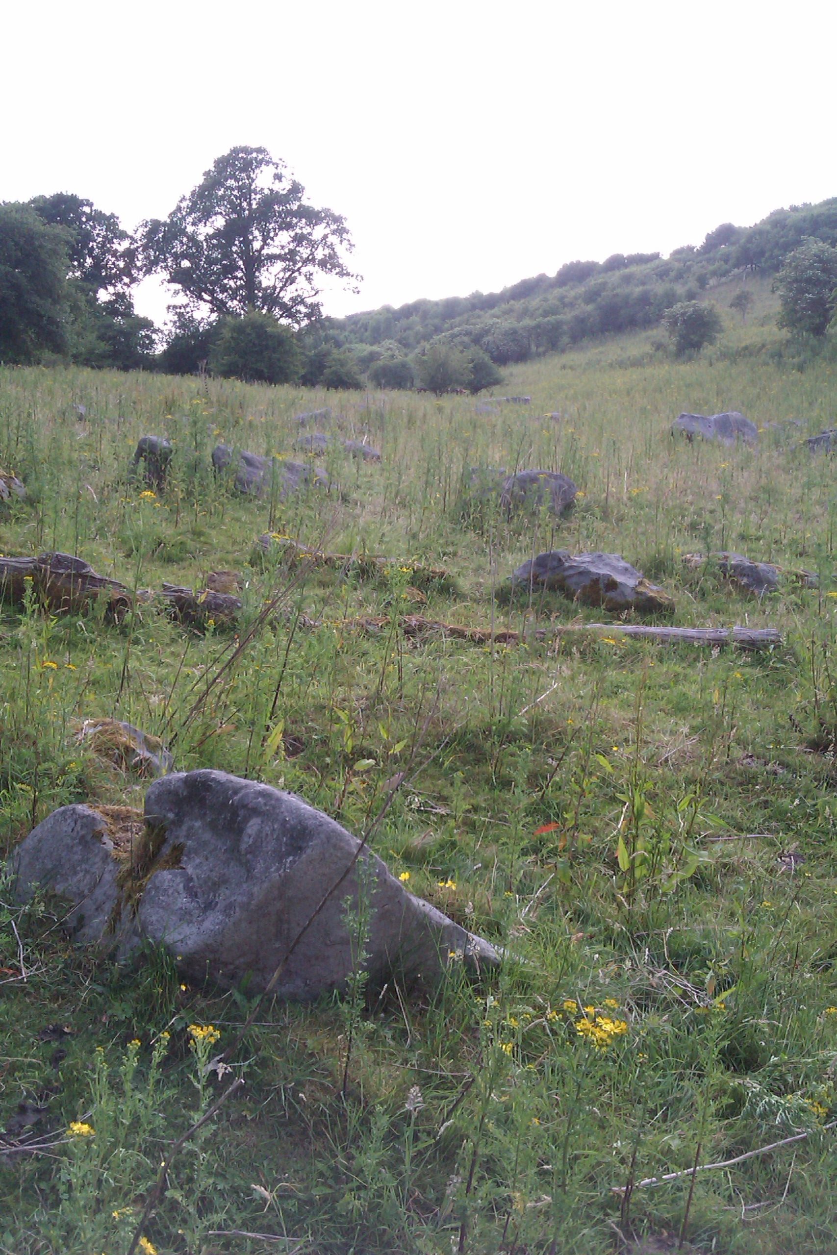 Sarsen Stones at Lockeridge Dene - North Wessex Downs AONB