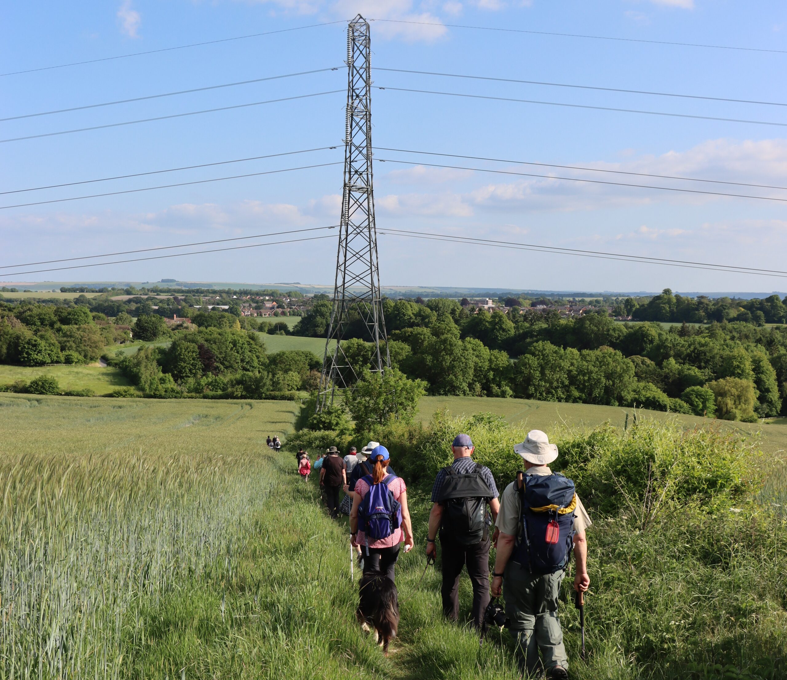 Going underground: transforming the landscape of Roundway Hill - North ...