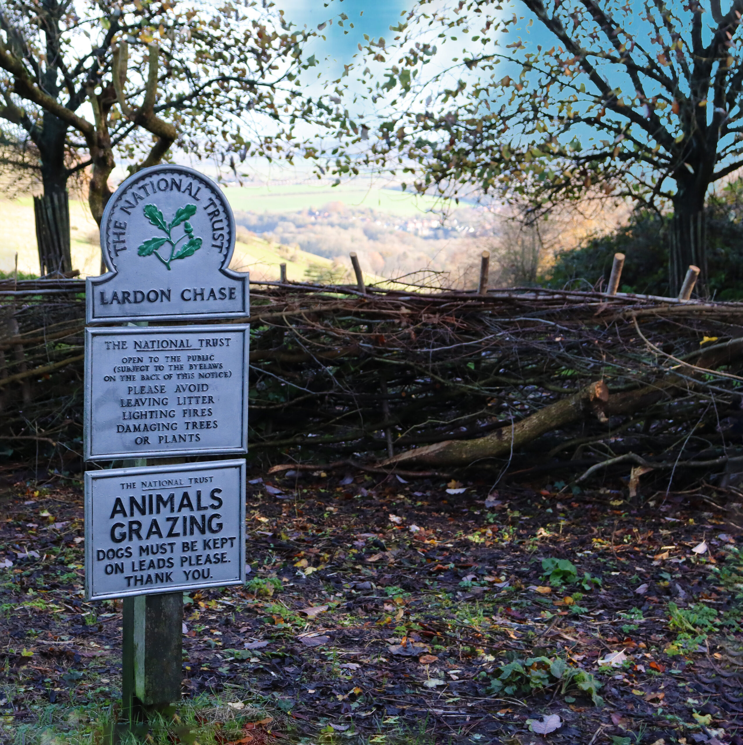 Lardon Chase - North Wessex Downs National Landscape