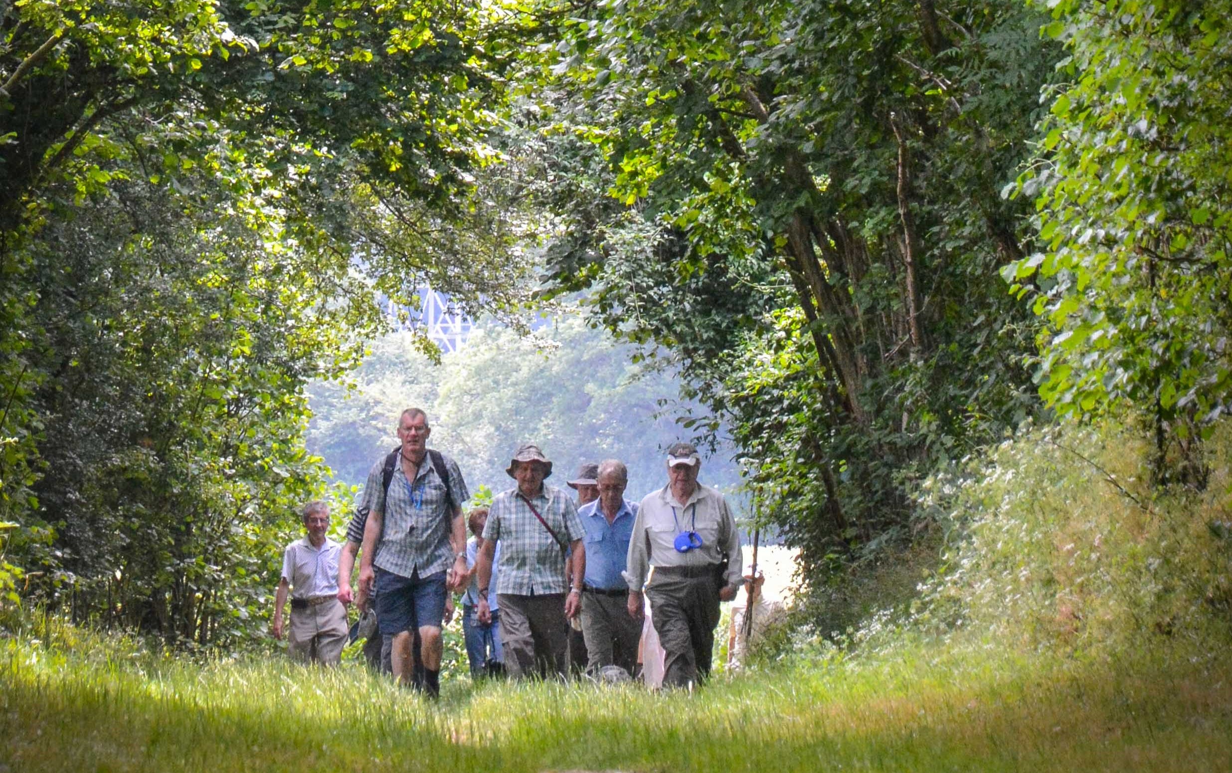 Coopers in the Wood and Cowdown Copse - North Wessex Downs National ...