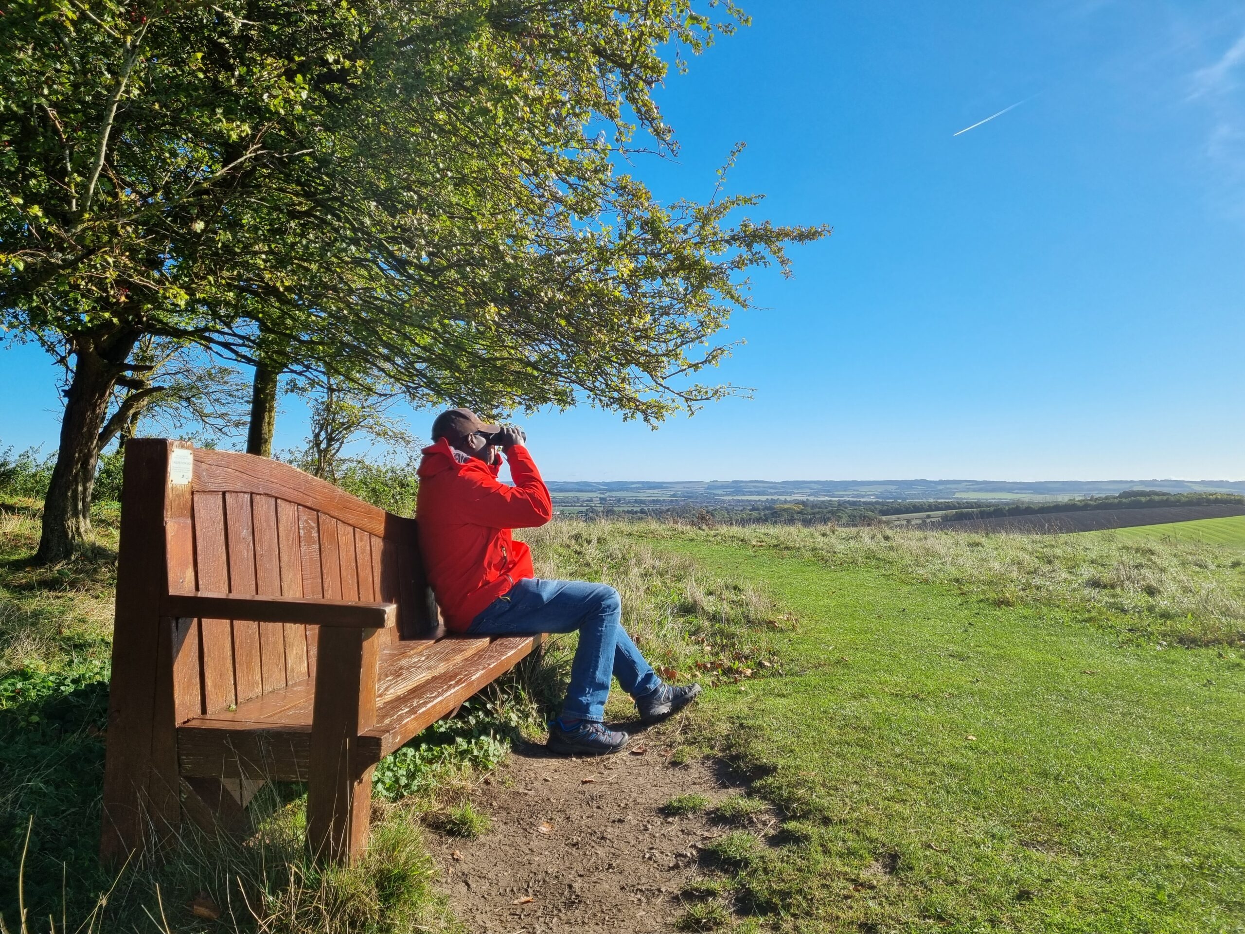 Wittenham Clumps from Dorchester-on-Thames - North Wessex Downs ...